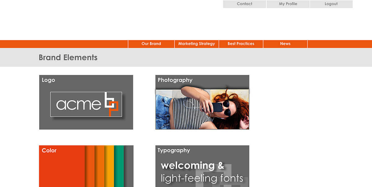 Marketing-Portal - BrandMaker